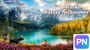 Best 200+ Cute & Cool Alaska Nicknames You’ll Love 2026