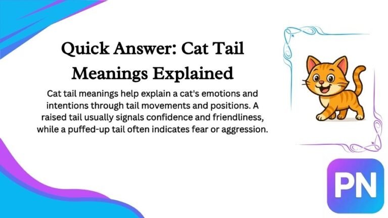 Cat Tail Meanings: Hidden Signals Explained (2026)